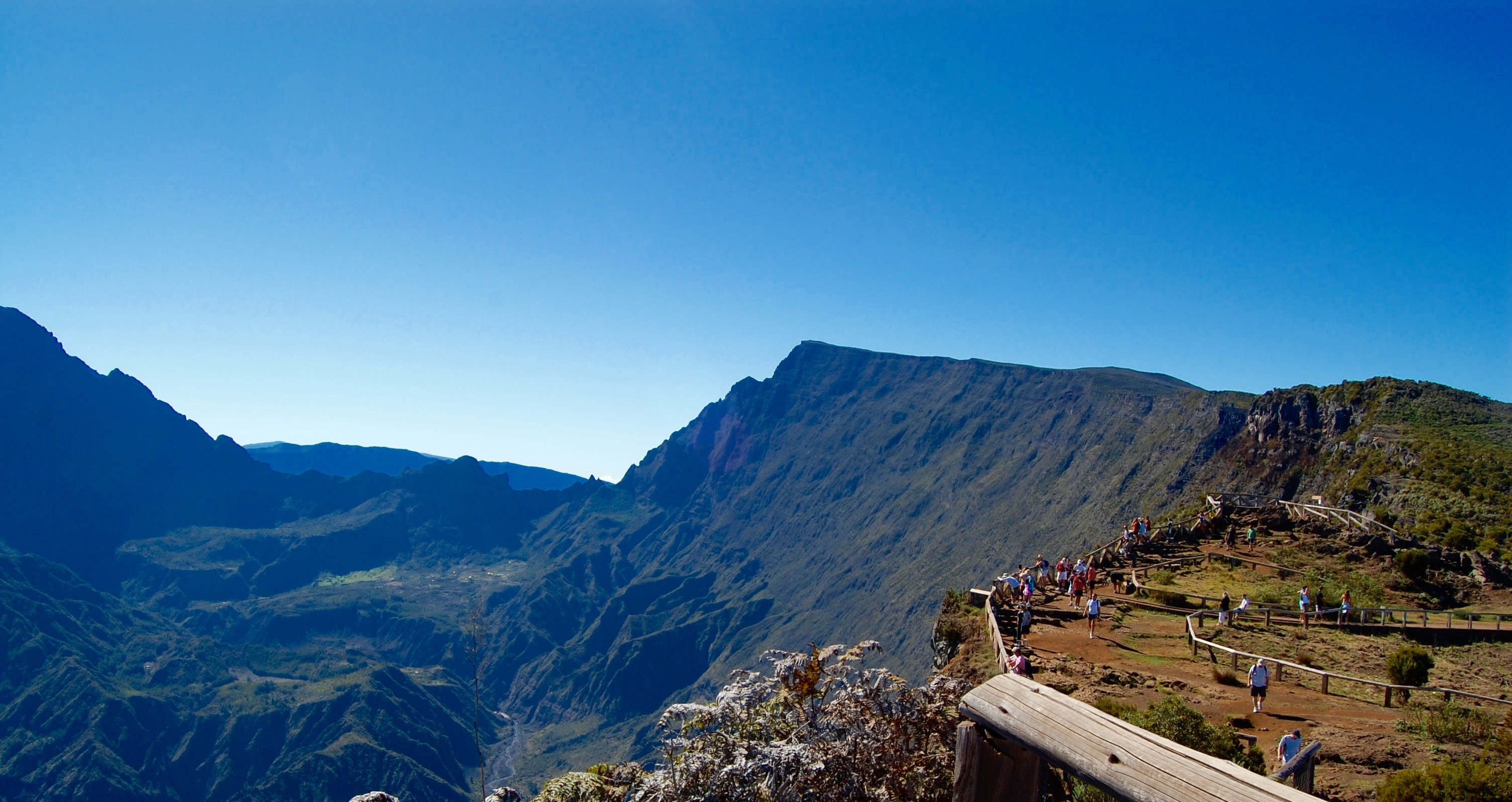 Randonnée Tamarinaie le Maïdo - FPMA La Réunion